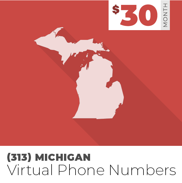  313 Area Code Phone Numbers For Business 20 Month